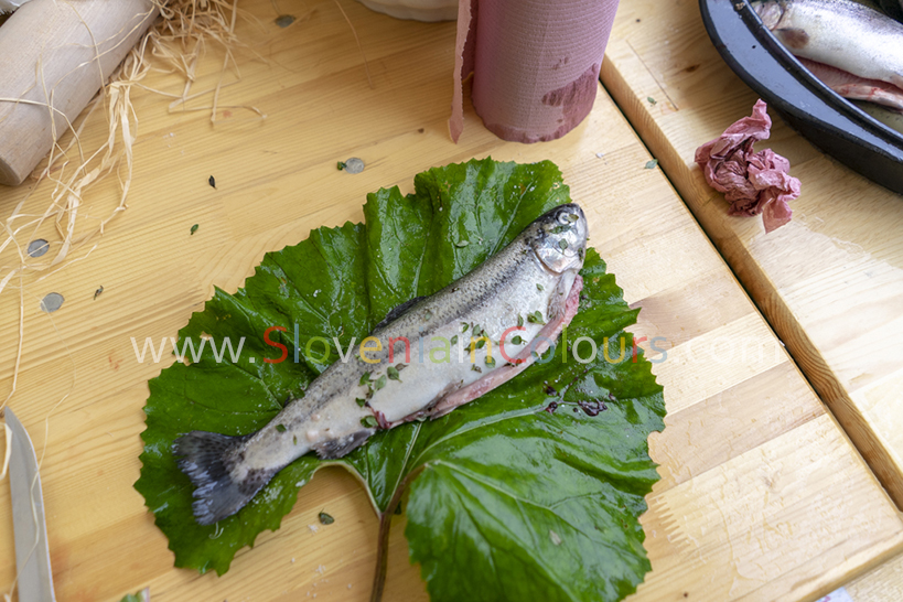 Prazgodovinska riba v glini – SLOVENIA IN COLOURS